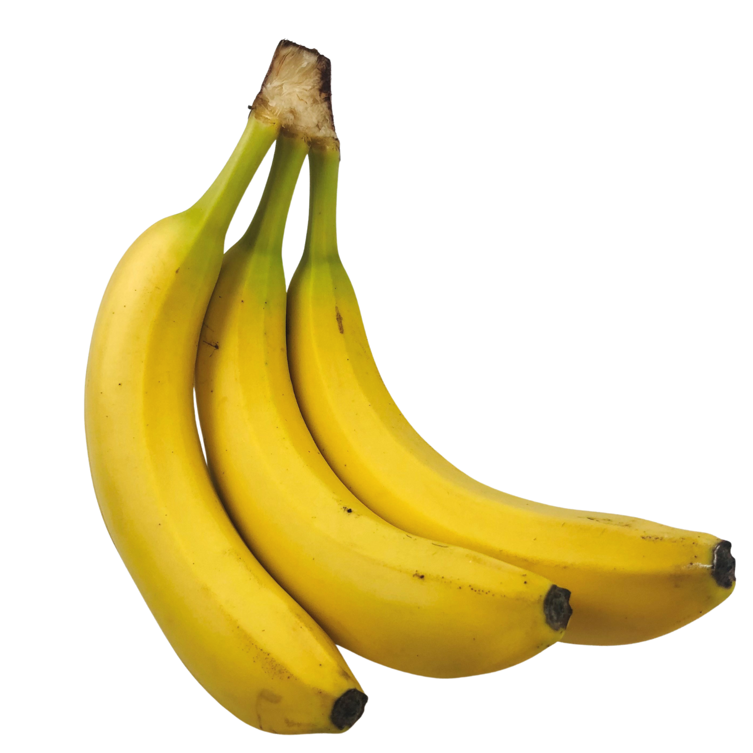 Banane Bio | SW11041