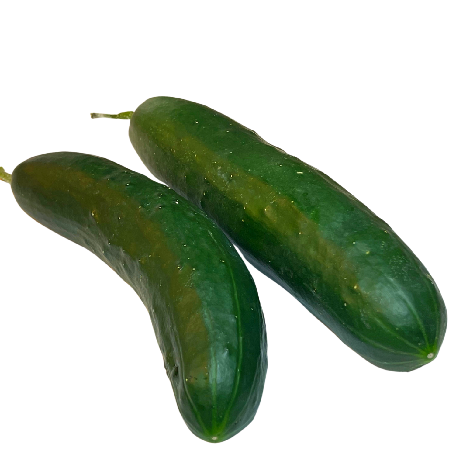 Cetrioli Bio | SW10911